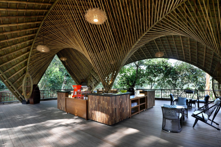 Savour - Timbertales